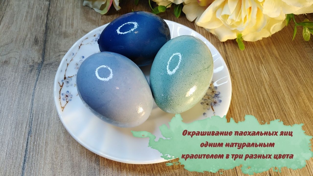 Окрашиваем яйца на Пасху одним натуральным красителем в три разных цвета -  творим "маленькое чудо"