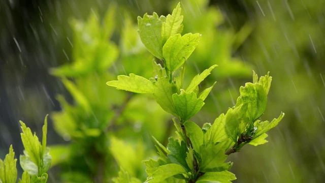 Музыка для сна. Видео для релаксации. Music for sleeping