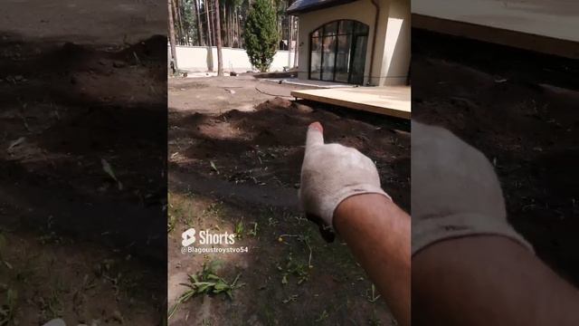 Укладка рулонного газона.Рулонный газон, посевной газон. 89831301614 Пётр Новосибирск