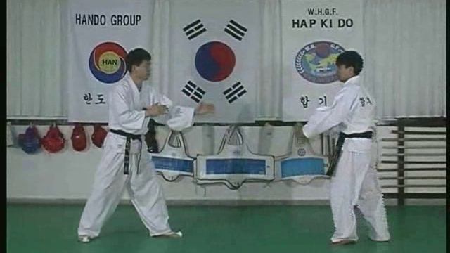 Базовая техника самозащиты (хосинсуль) до 5 гыпа (синий пояс) в Хапкидо GHF. Ч 1