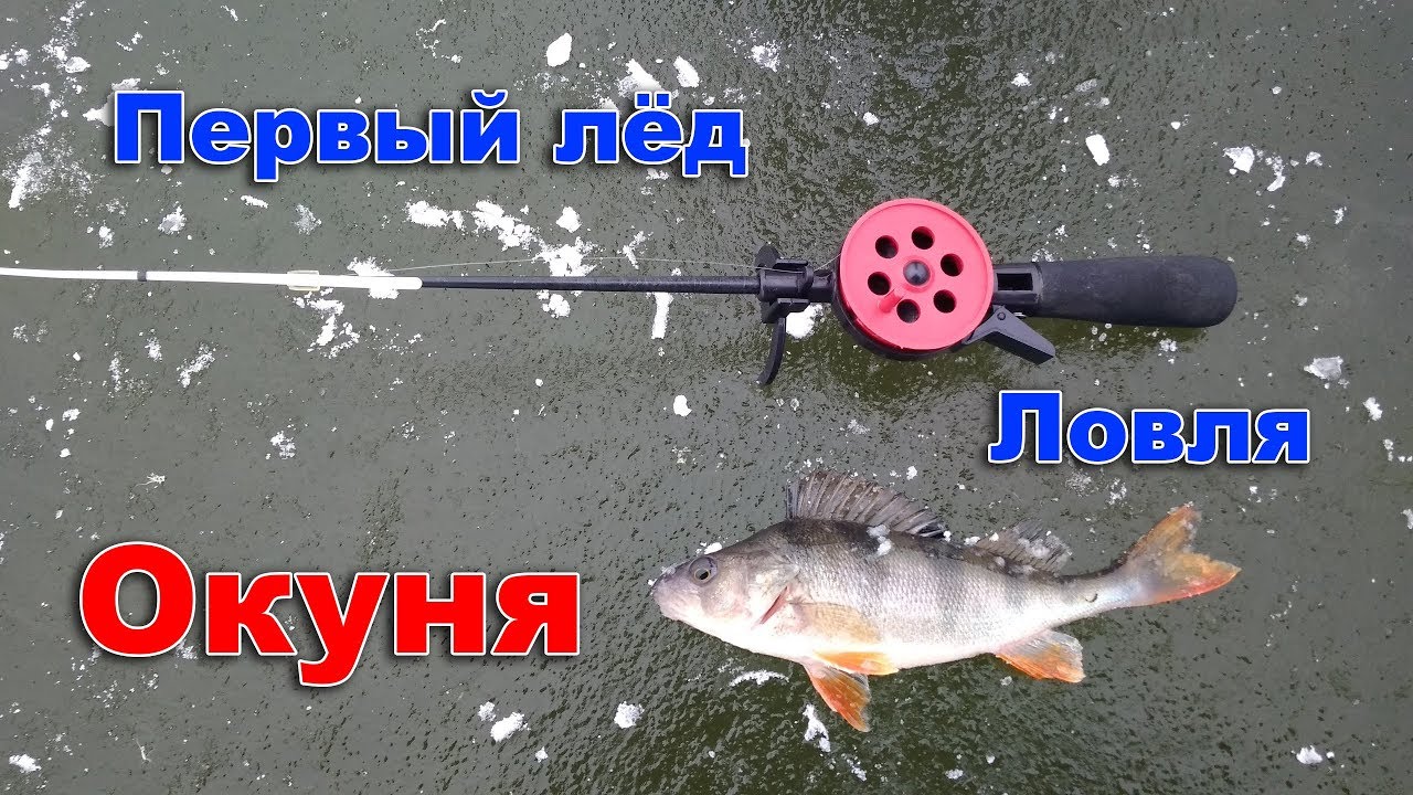 Первый лед.Отличное открытие сезона. Ловля Окуня.mp4