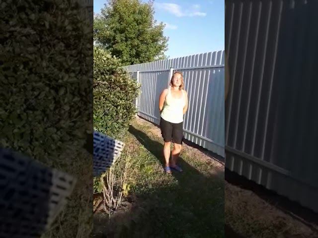 Отзыв клиента. Забор из профлиста