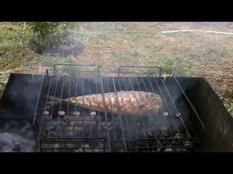 Скумбрия на углях.
