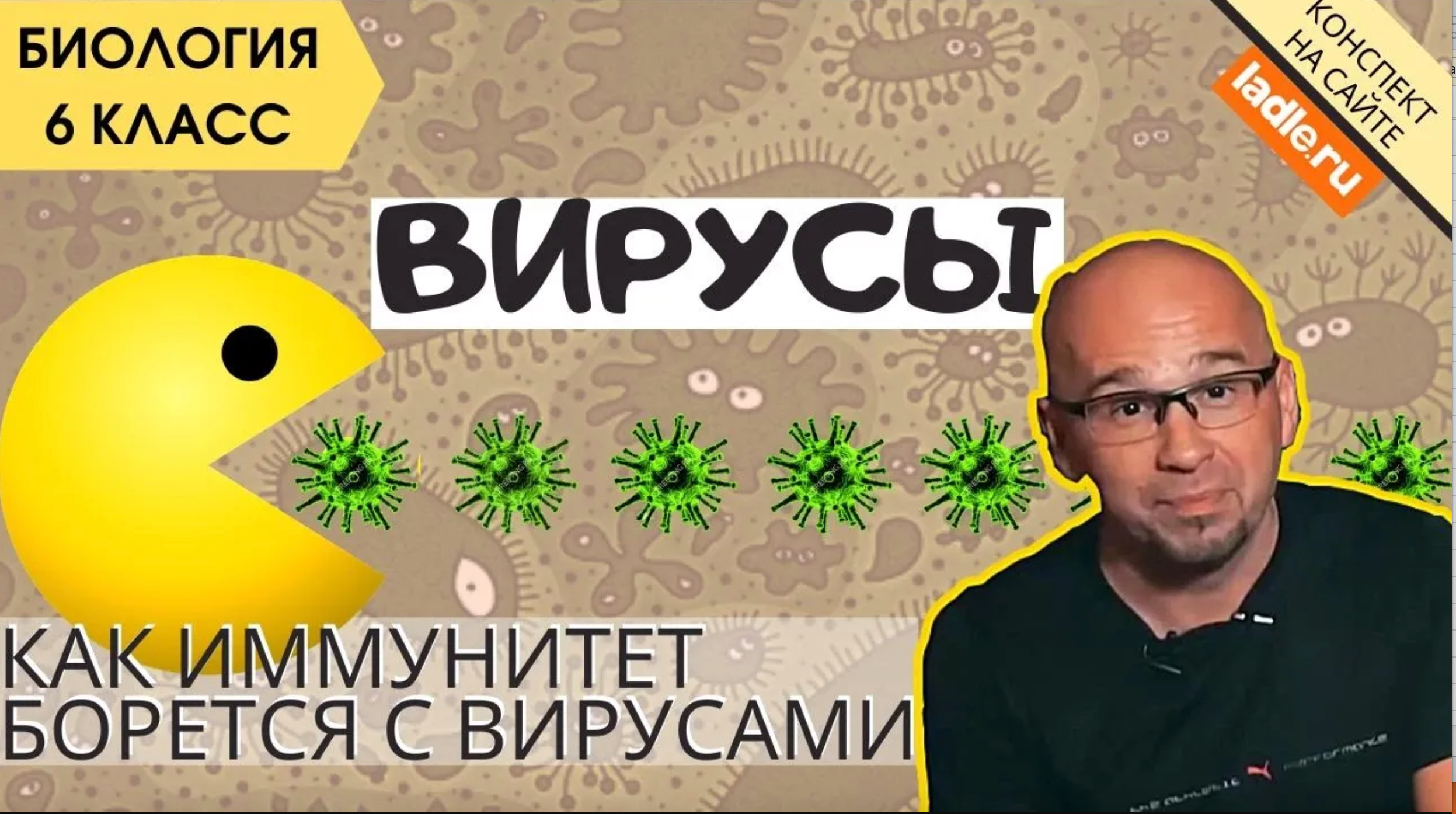 Вирусы. Биология 5, 6 класс. Как атакуют вирусы гриппа человека_ Строение, отличие от бактерий. ЕГЭ