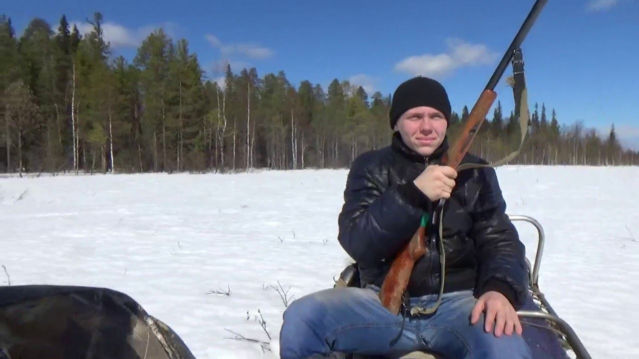 Весновка 2017