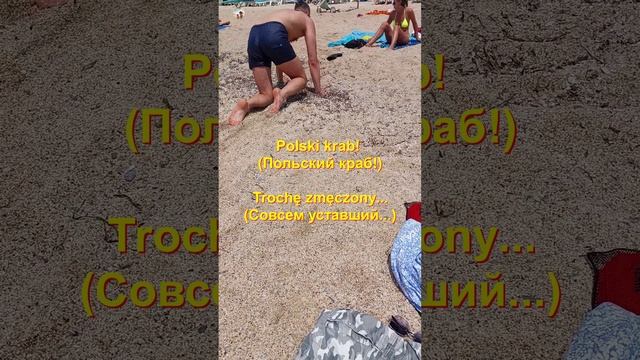 Польский краб! Love Moment. shorts