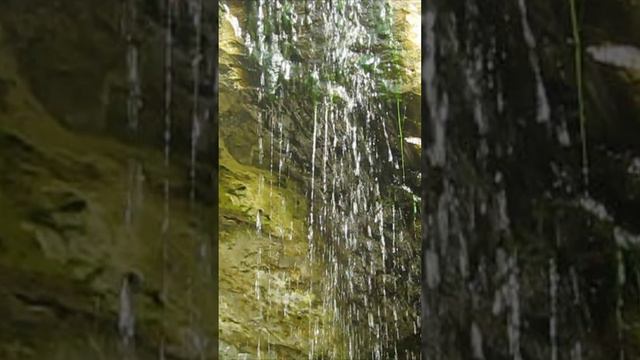 Осенняя весна: песня от Баняни #музыка #banananu #бананану