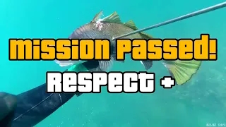 Подводная охота. Сочи. Лазаревский район. Маловато 08.2022.