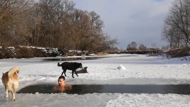 Winter swimming Ice water swimming.Экстрим Закаливание Моржевание.Extreme hardening.mp4