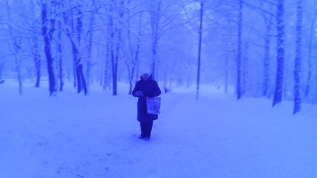 Зимняя прогулка. Зима...зима!!