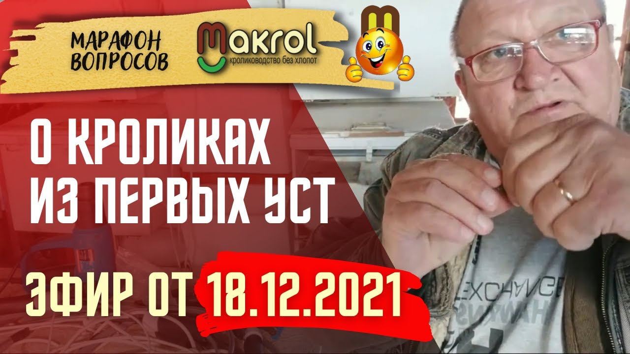 ?18.12.2021 ?Кролиководство. ✅Субботний МАРАФОН ВОПРОСОВ Макляк Макрол Вход свободный?.mp4