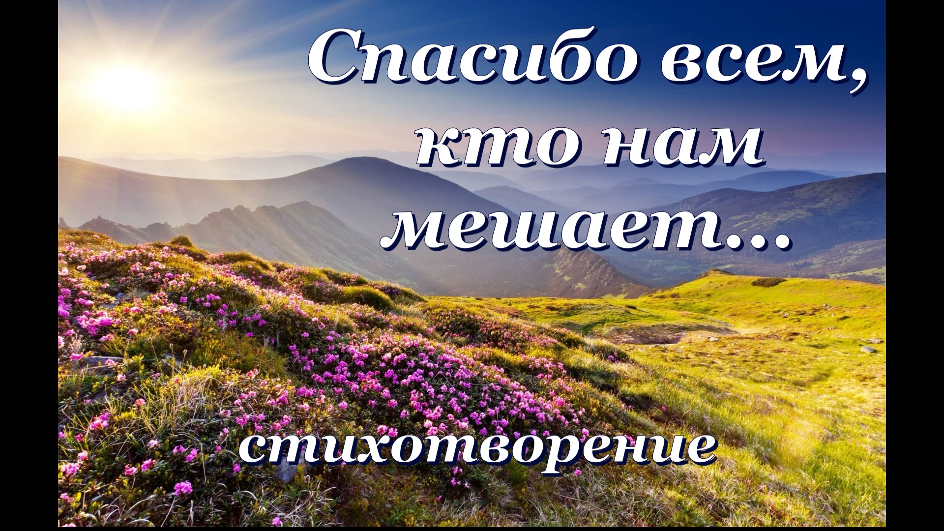 Стихи – «Спасибо всем, кто нам мешает...»- Наталья Дроздова