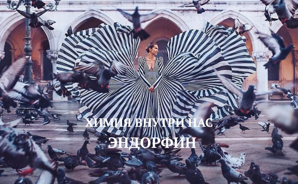 ЭНДОРФИН