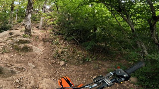 Твой первый эндуро за 200К_ TRX START 250 – Идеальный бюджетный выбор для новичков!