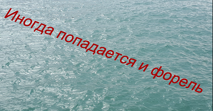 Туапсе 18.02.2022 набережная порта: форели почти не осталось.