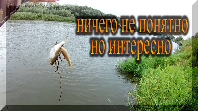 Вот "ЗУБАСТОЙ" повезло! С двух крючков сошла, правда без обеда осталась.