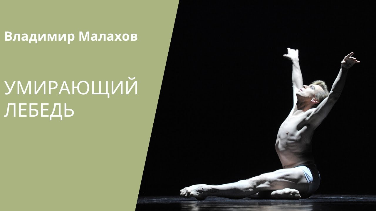 Dying Swan - Vladimir Malakhov / «Умирающий лебедь» - Владимир Малахов