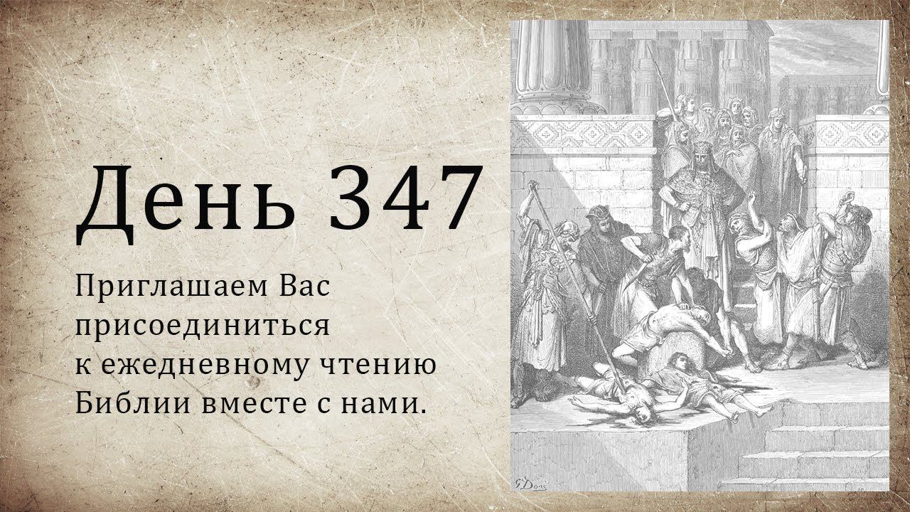 День 347 (Иов 15; Авв 2; 1 Петр 3; 1 Петр 4; 1 Петр 5)