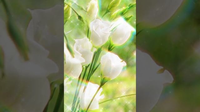 Мощный заряд энергии. Музыка, которая вдохновляет, очень красивая и позитивная.