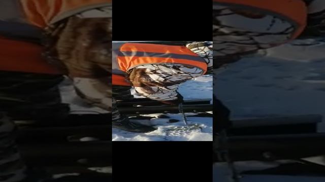 Контррельсовые желоба