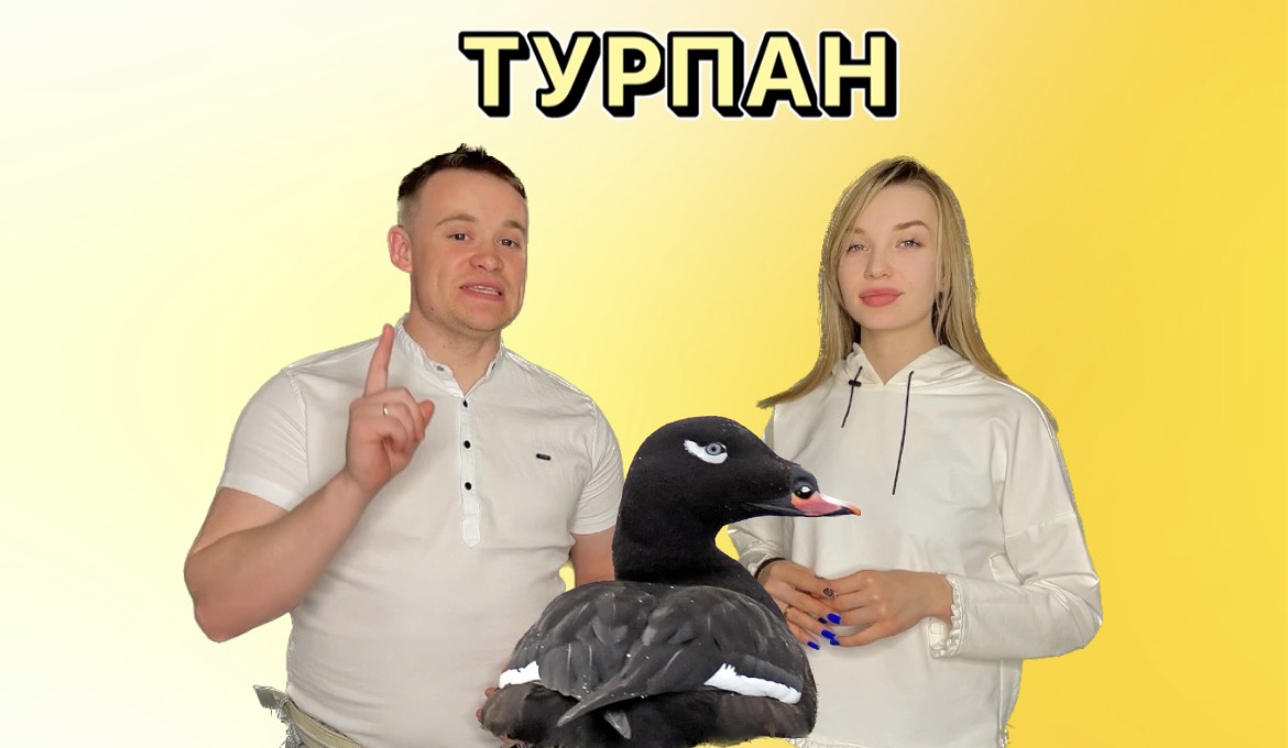 Животный мир. Турпан обыкновенный.