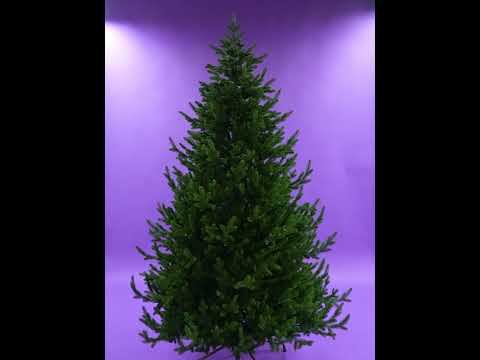 CRYSTAL TREES | Обзор | Ель  "Прованс"