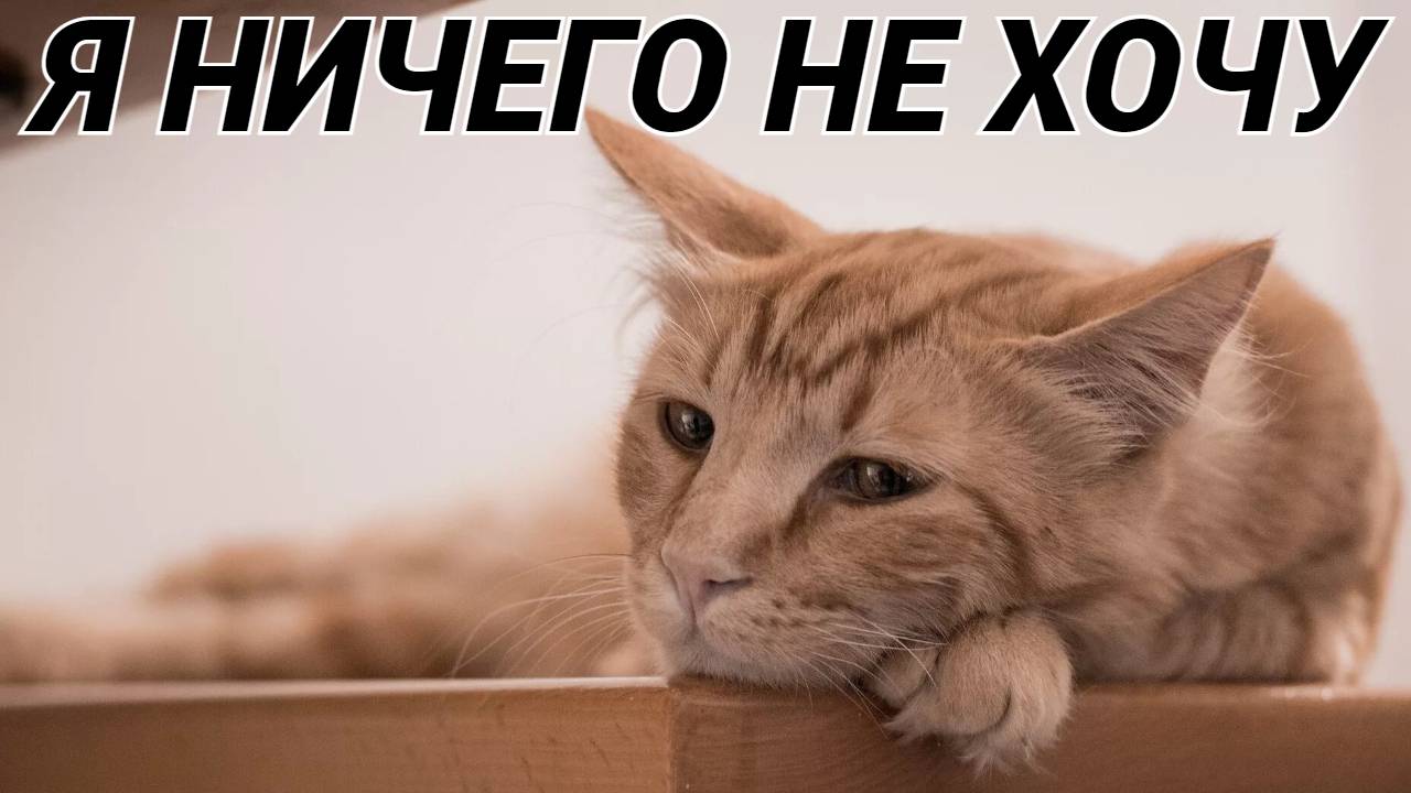 Когда ничего не хочется и теряешь веру в себя: что делать? Рассказывает психиатр!