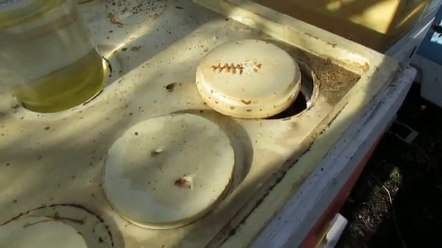 холстик и пленка ушли в прошлое, полностью перевел все ульи на потолочины, весенние работы