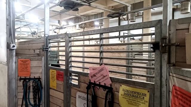 VID_20220514_104832.3gp