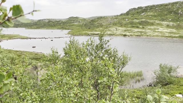 Сплав 2023. Океан. Фантазия