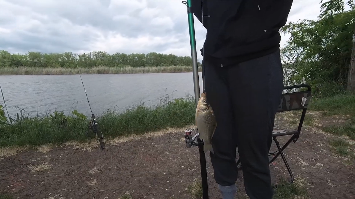 Перезалив: Удачная майская рыбалка 2021. Караси сами кидались на крючок!