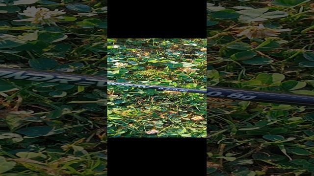 Спиннинг Mifine ANDREW 0,2 - 0,8 гр. #спиннинг #рыбалка #ёрш #лето #речка #мифайн #Mifine