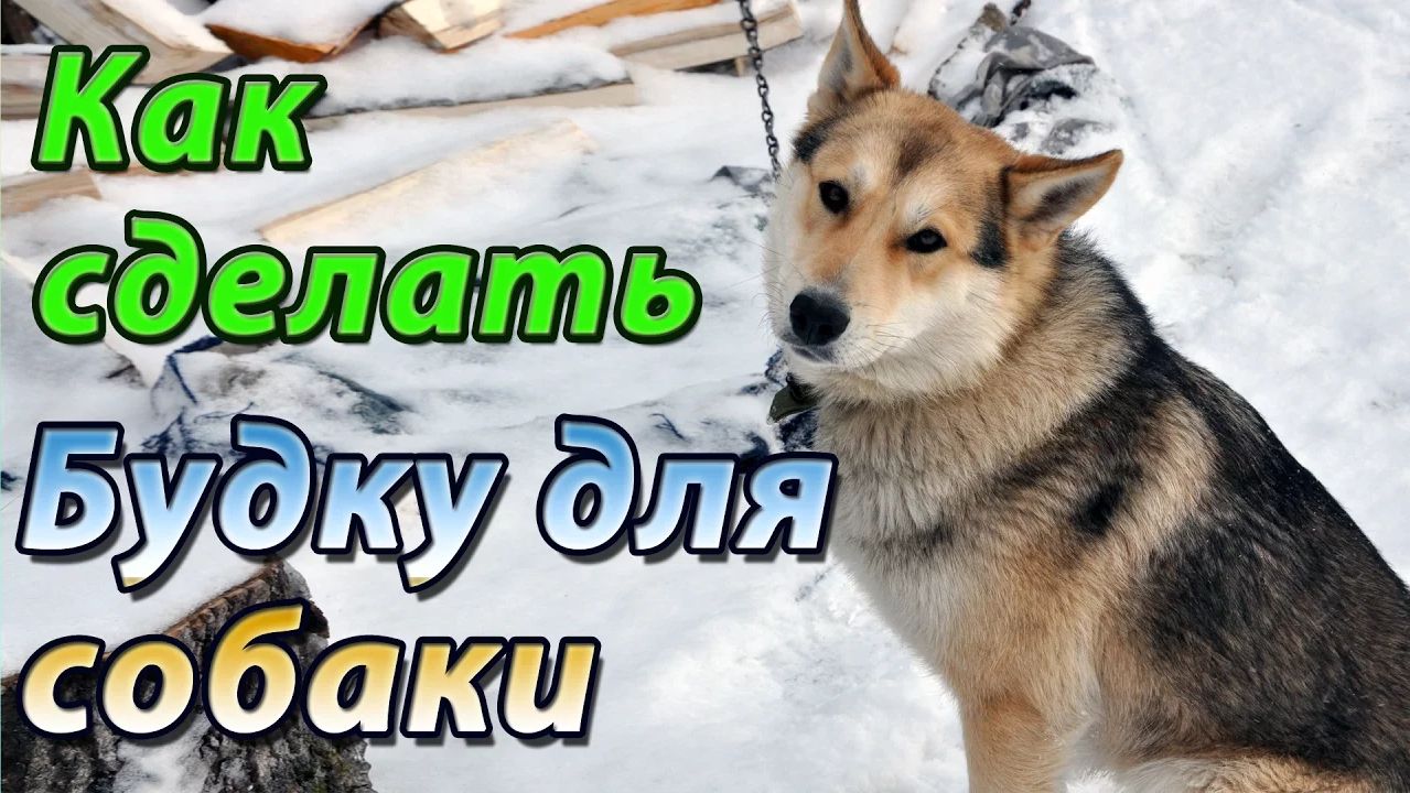 Тёплая будка для собаки своими руками. Доступное жильё для молодого пса !