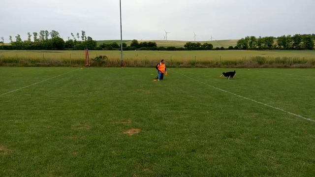 Qualifier Austria'17 Josef & Dusty R2.mp4