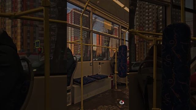 Из трамвая как-то всё красивее смотрится)) #shorts