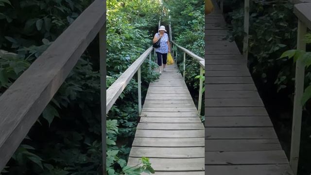 ПОВОРОТ НЕ ТУДА по ЯНДЕКСОВСКИ