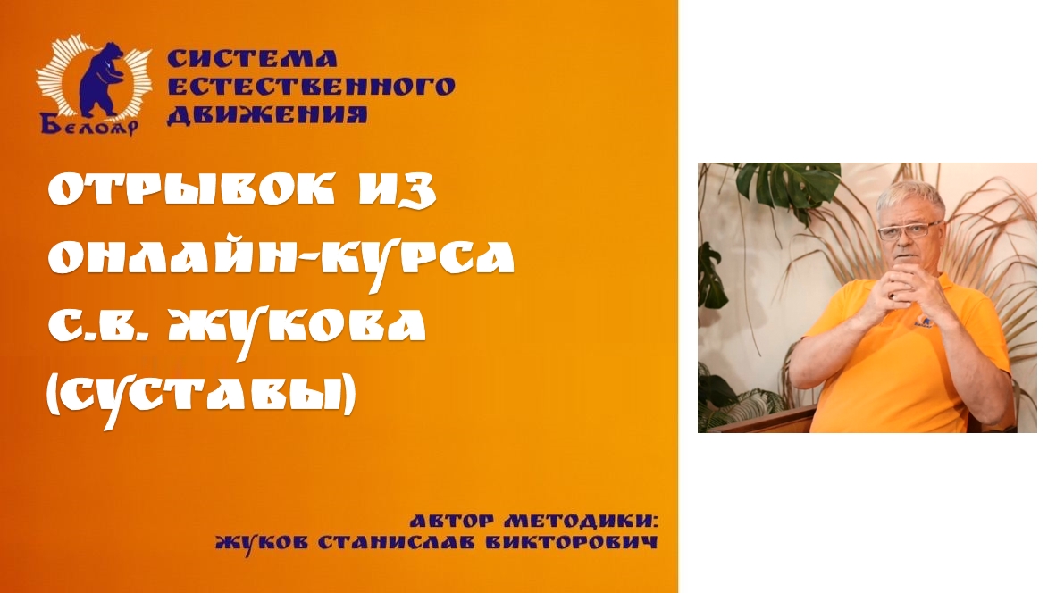 БЕЛОЯР: Отрывок из онлайн-курса С.В. Жукова (Суставы)