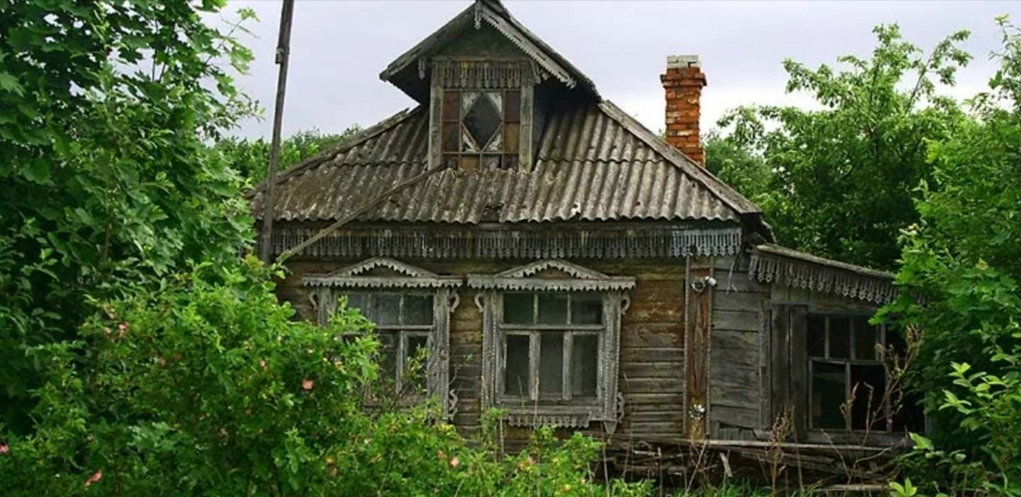 ПОСЛЕ ОБЕДА ОНИ ПОЛЕЗЛИ  КАК ГРИБЫ.