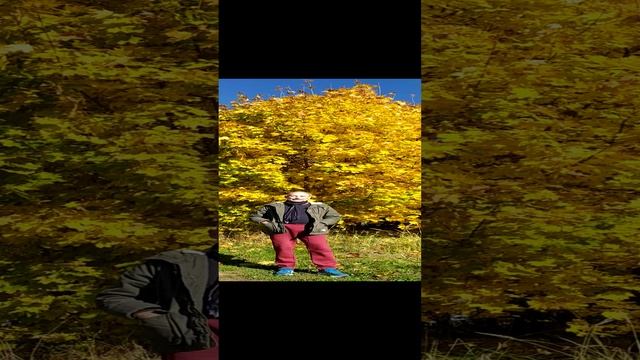 Чем курс будет для вас полезен.mp4