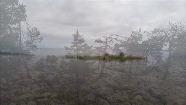 Сплав 2015. Белое море. Туристы