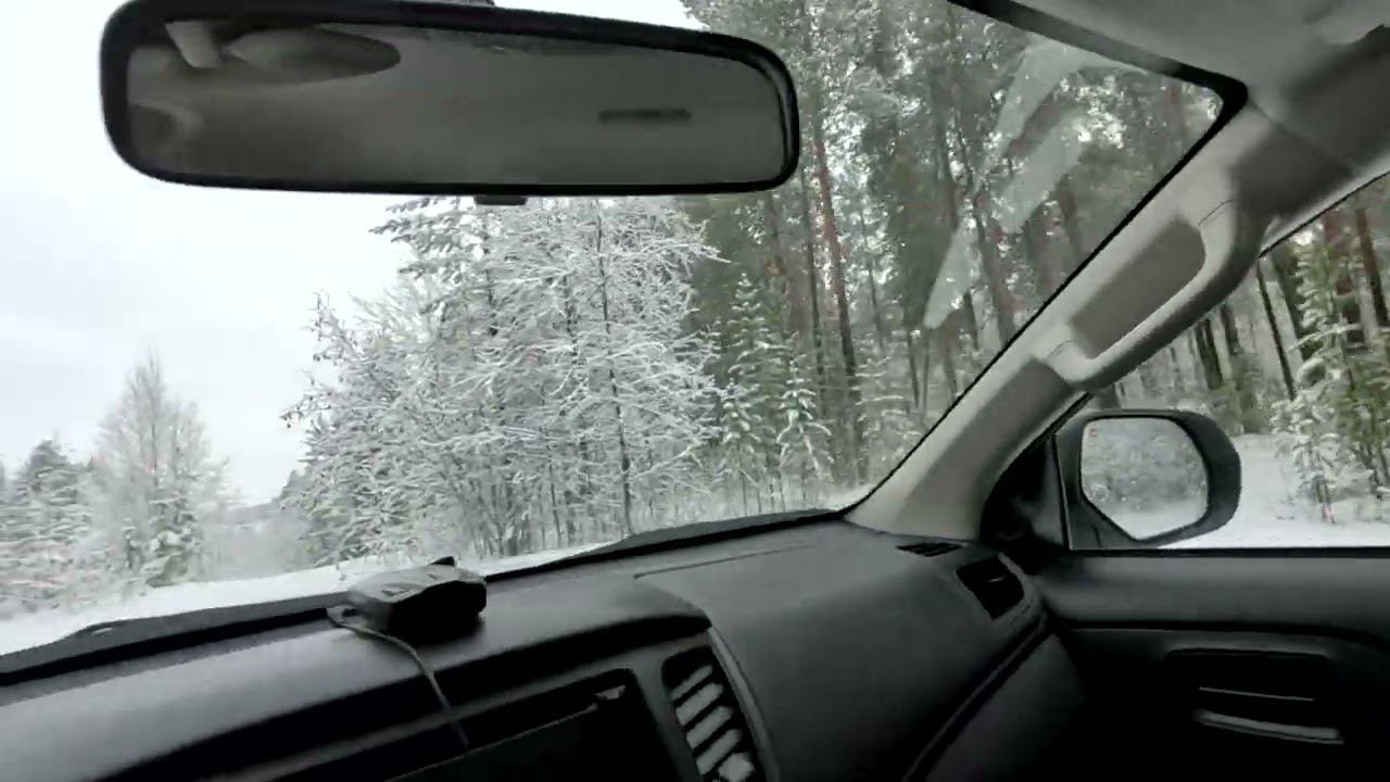 Покатайтесь по зимнему лесу