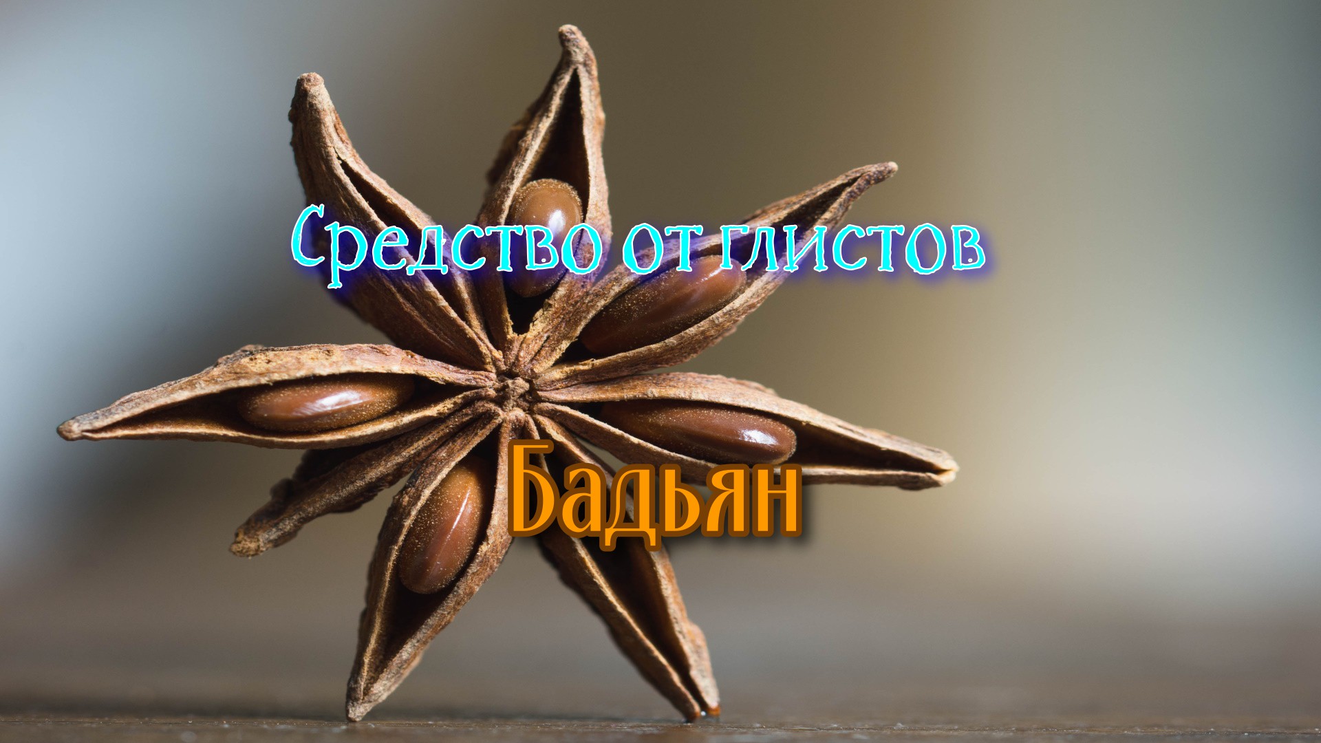 Средство от глистов. Бадьян