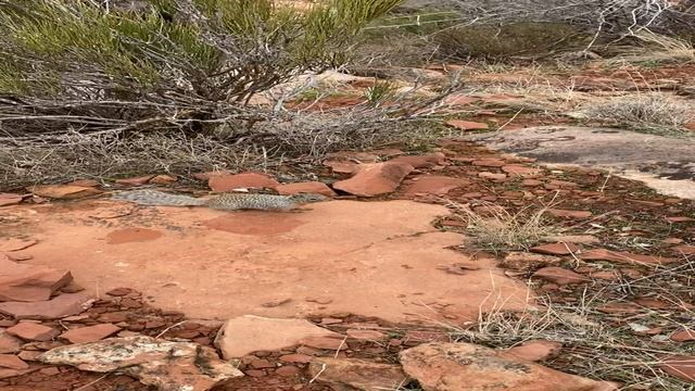 Без названия