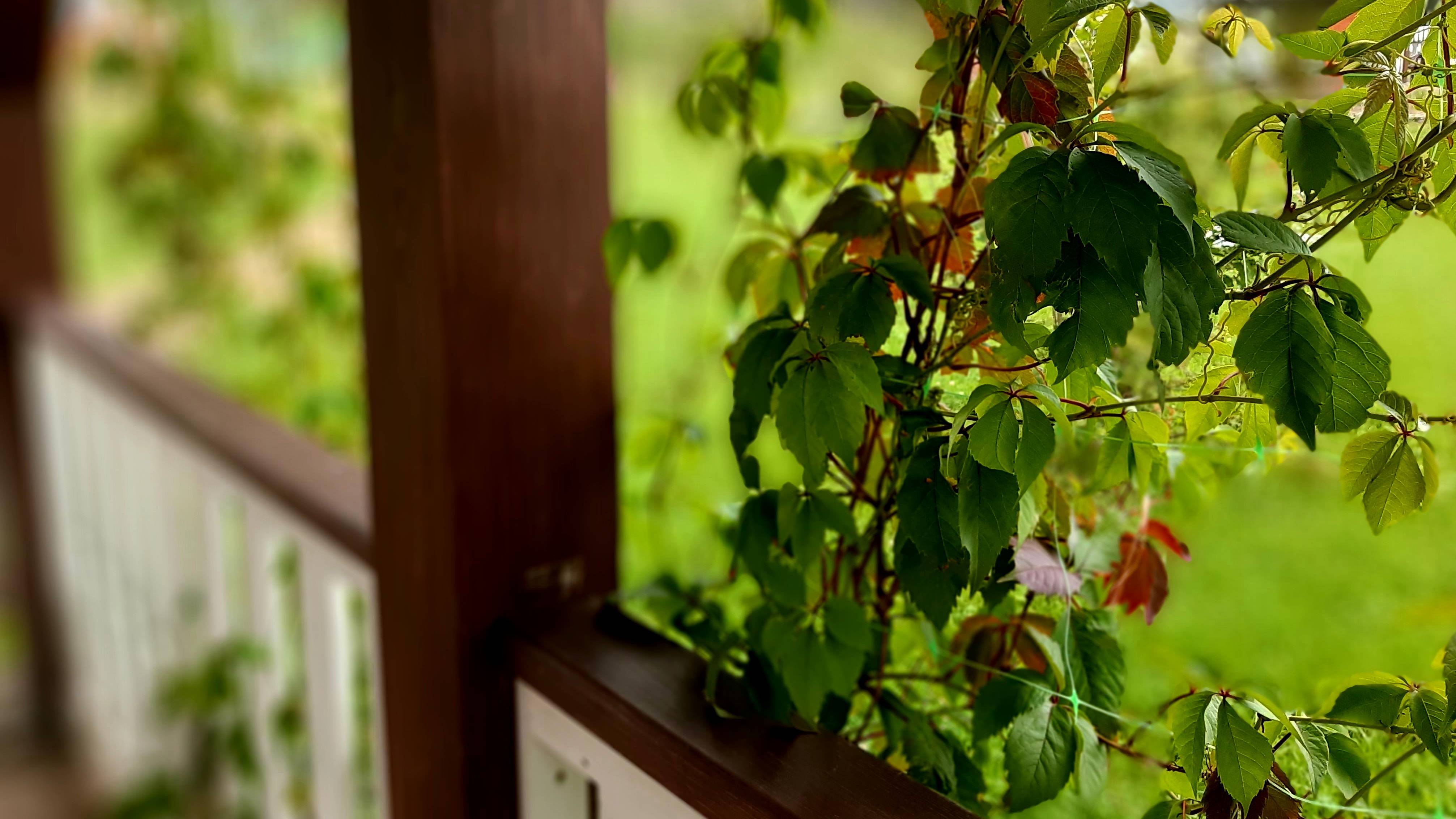 Самая свежая погода