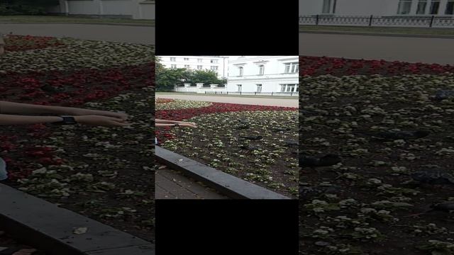 Екатеринбург. Кормили голубей...