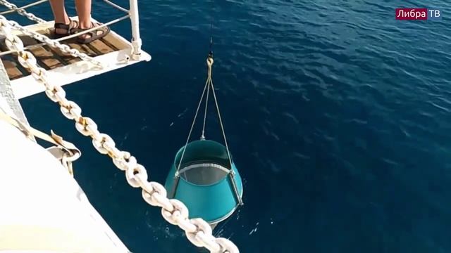 Виктор Мельников ведущий научный сотрудник Отдела функционирования морских экосистем ФИЦ ИнБЮМ