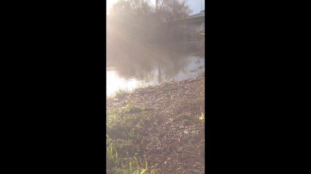 Я убрал мусор #136 Орехово-Зуево.mp4