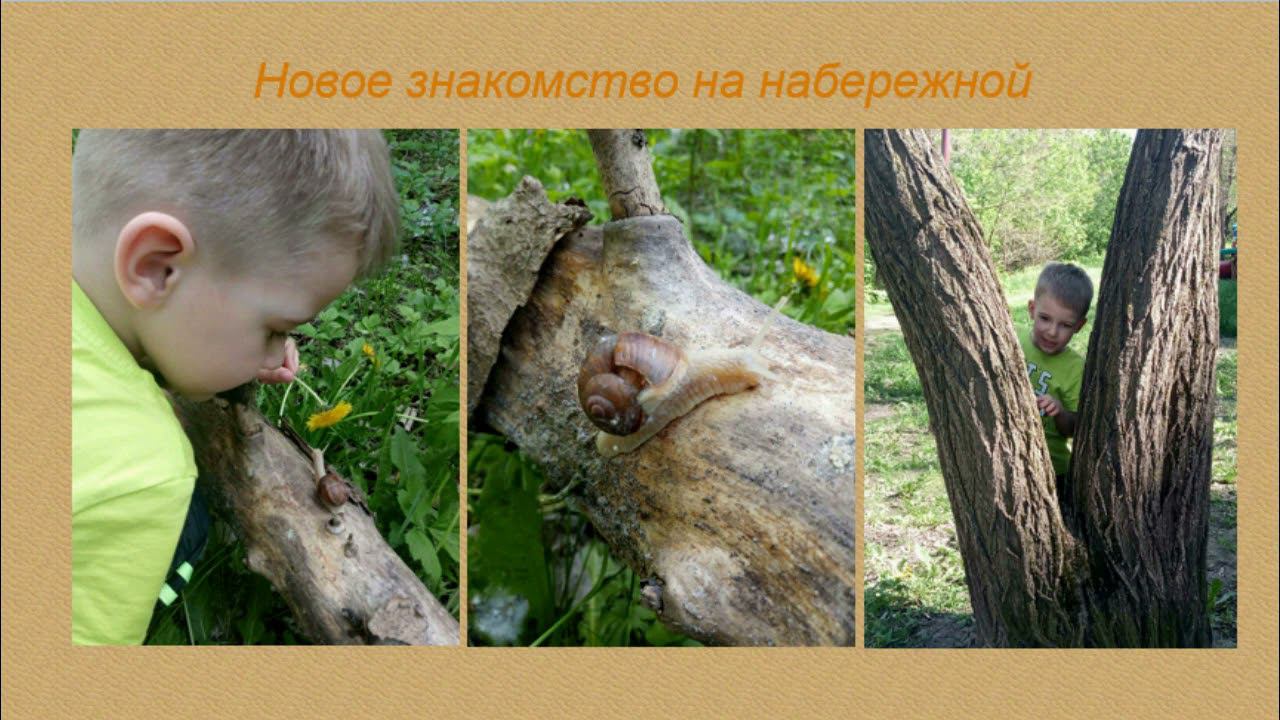 ФОТОКРОСС в МБДОУ д/с №82