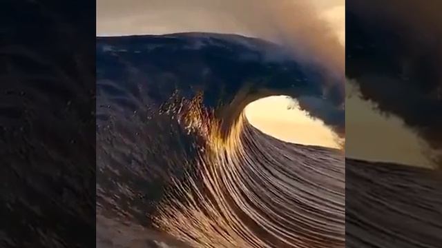 VID_20221217_192928_606.mp4