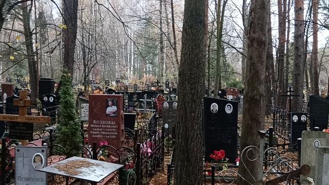 2022.10.29_12.08.42 - поко.mp4